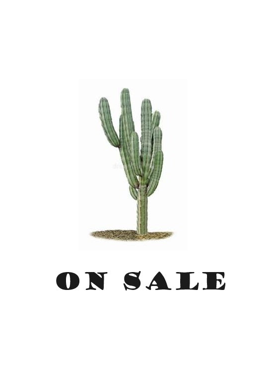 On Sale – Shack Story